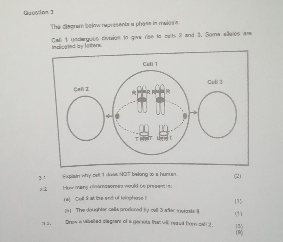 Question 3 The diagram below represents a | StudyX