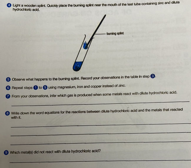 4 Light a wooden splint. Quickly place the | StudyX