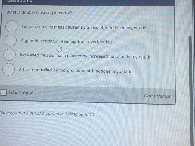 What is double muscling in cattle Increase | StudyX