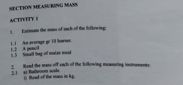 SECTION MEASURING MASS ACTIVITY 1 1 Estimate | StudyX