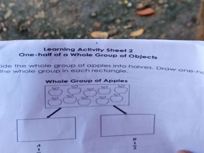 Learning Activity Sheet 2 One-half of a