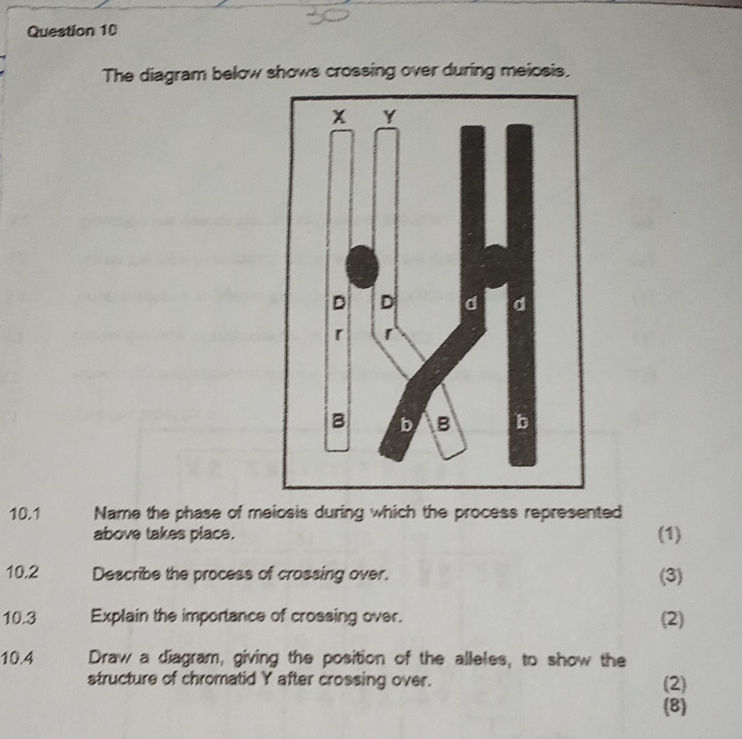 Question 10 The diagram below shows crossing