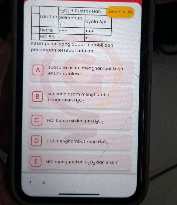 H2O2 + Ekstrak Hati Larutan Gelembun Nyala | StudyX