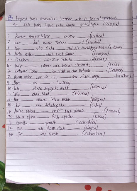 Perfect tense exercises German verbs is | StudyX