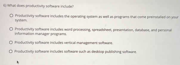 6) What does productivity software include?