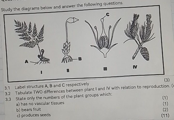 Study the diagrams below and answer the | StudyX
