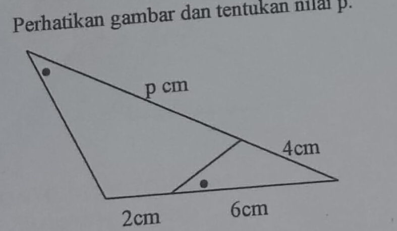 Perhatikan gambar dan tentukan nilai p. The | StudyX