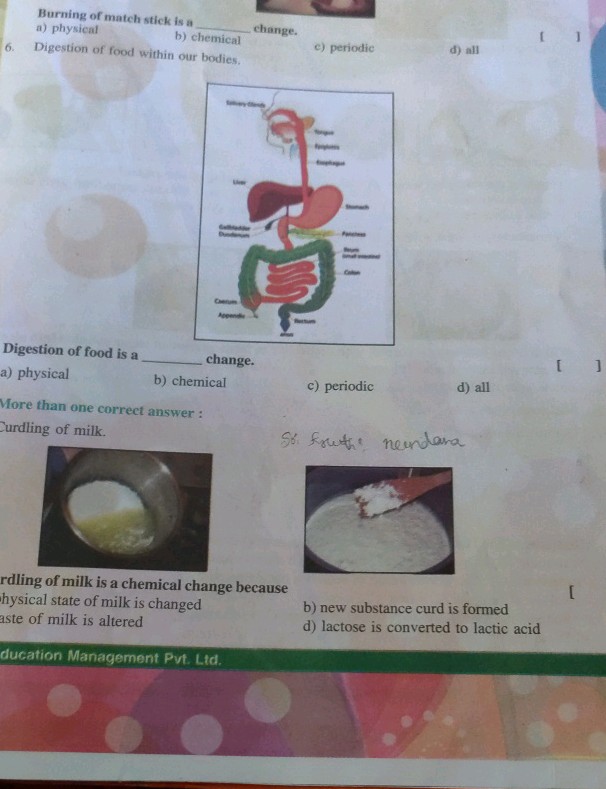 6 Digestion of food within our bodies | StudyX