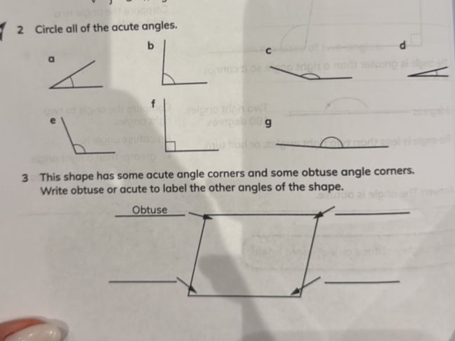 2 Circle all of the acute angles Diagram | StudyX