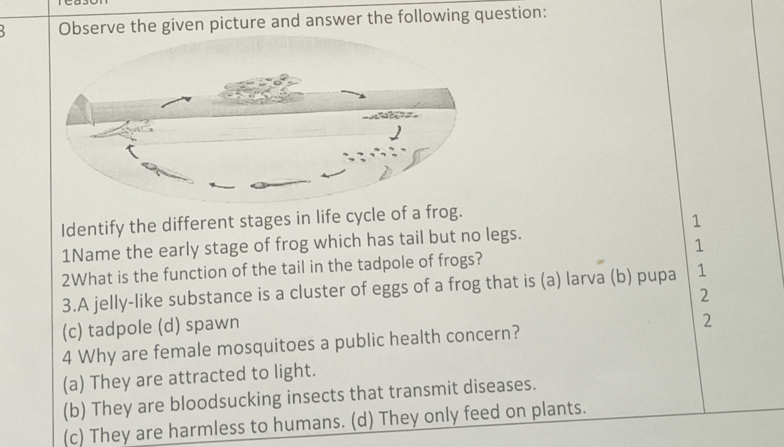 Observe the given picture and answer the | StudyX
