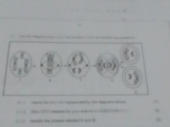 Use the diagrams below to answer the | StudyX