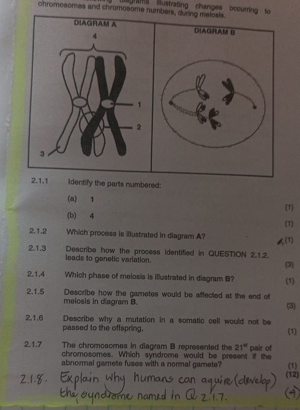 211 Identify the parts numbered (a) 1 (b) 4 | StudyX