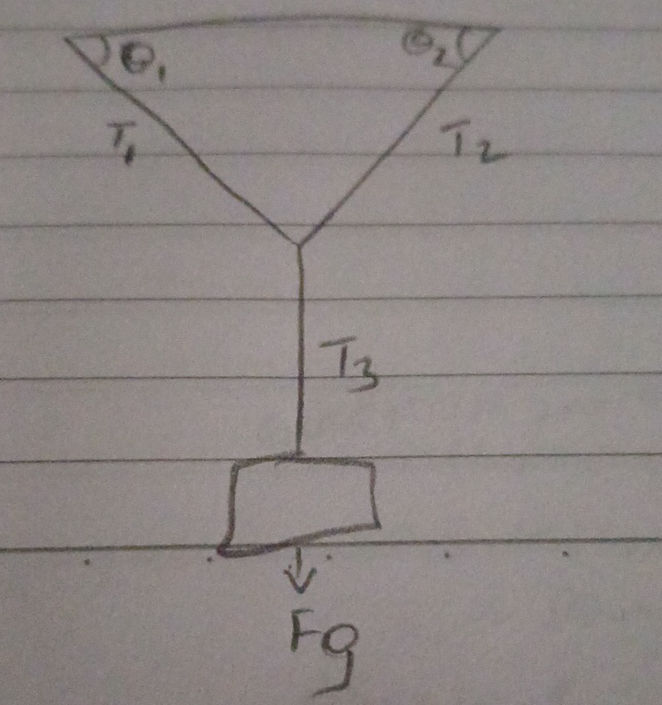 A diagram shows a weight hanging from a | StudyX