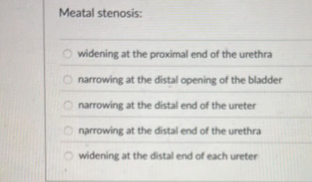 Meatal stenosis widening at the proximal end | StudyX