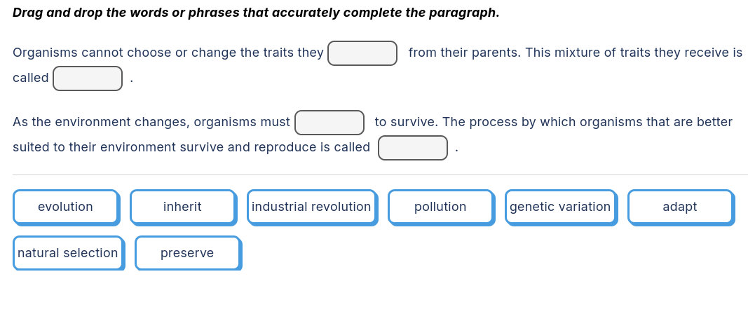 Drag and drop the words or phrases that