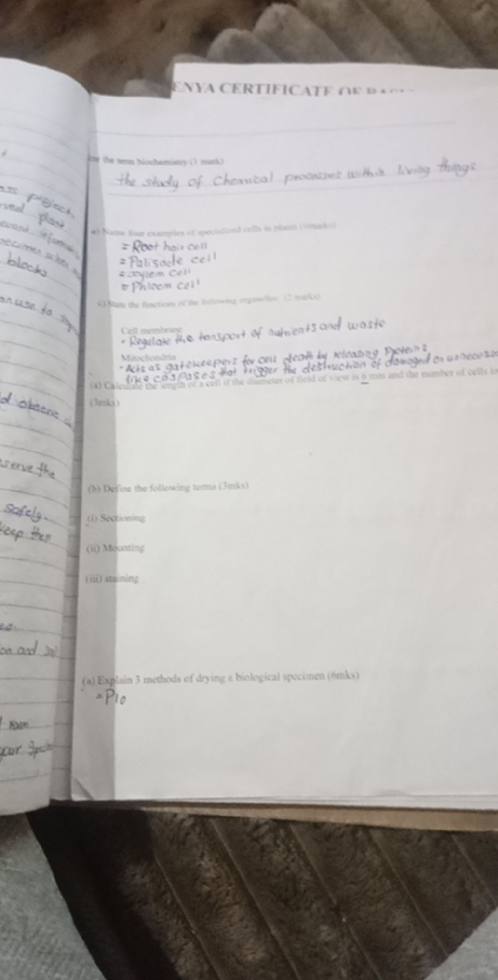 Use the term Biochemistry (1 mark) the study