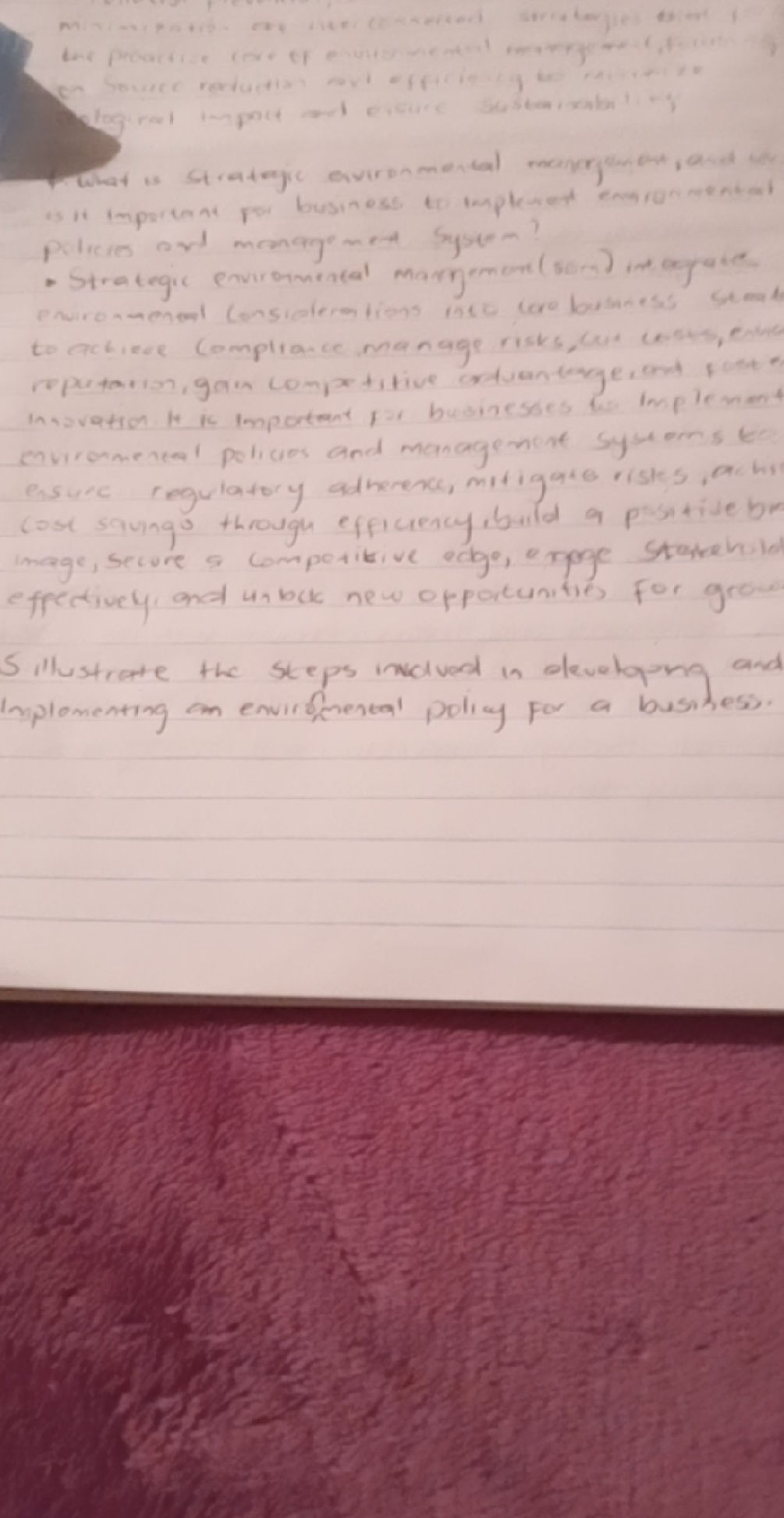 What is Strategic environmental management,