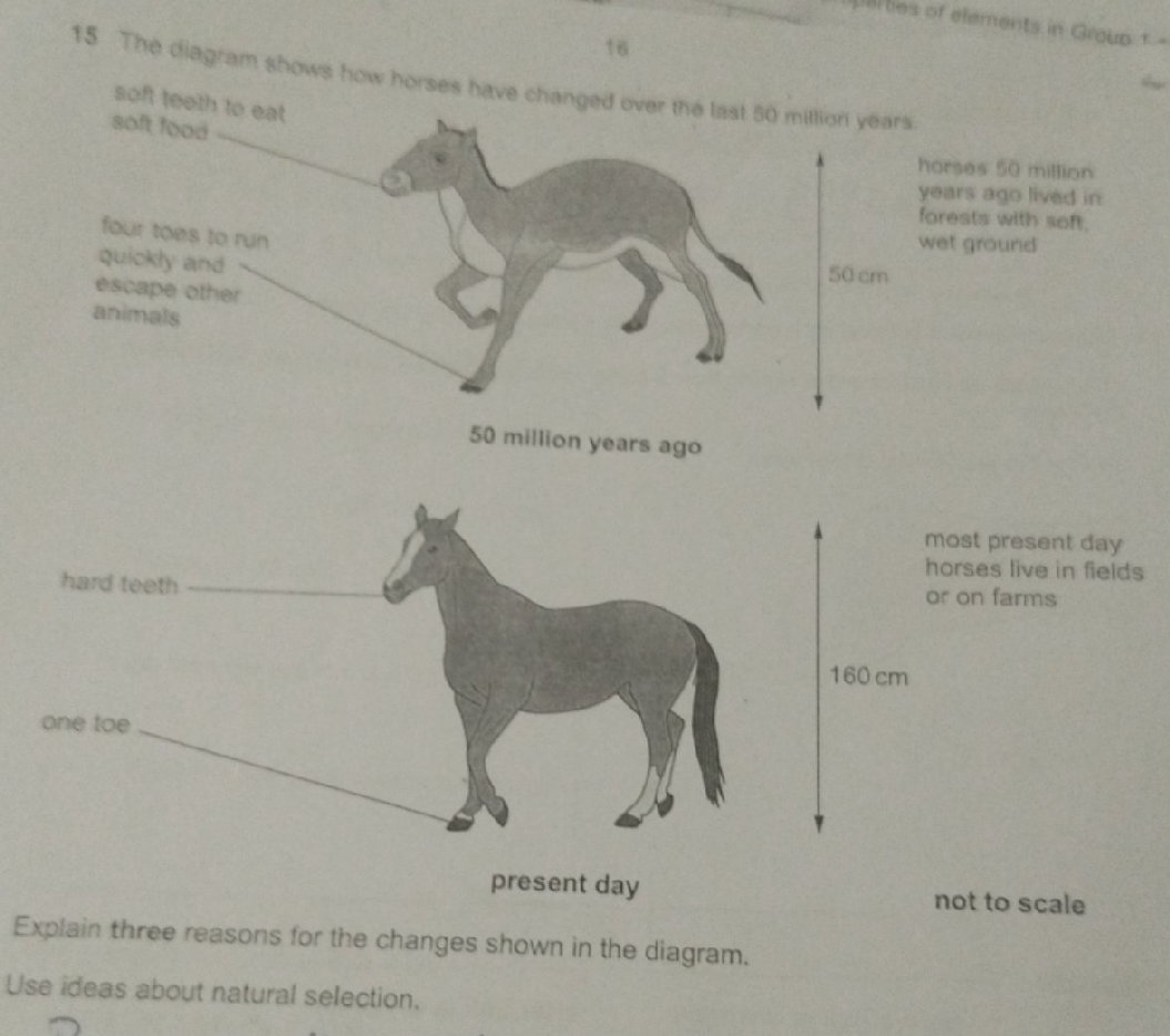 15 The diagram shows how horses have changed