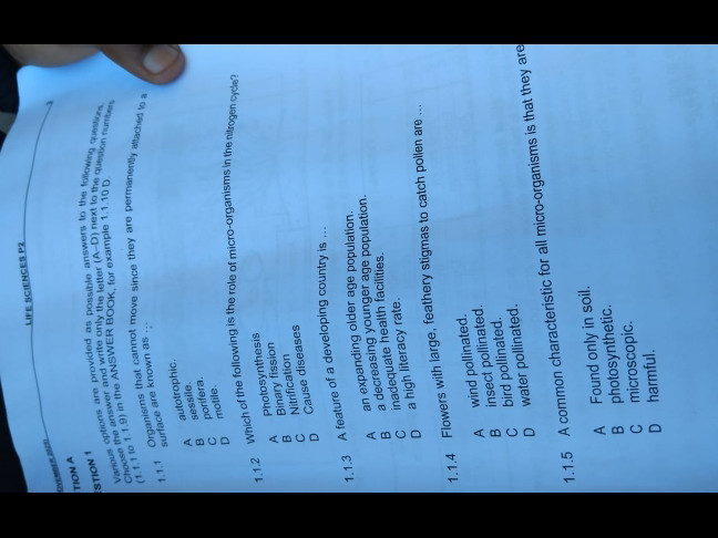 Which of the following is the role of | StudyX