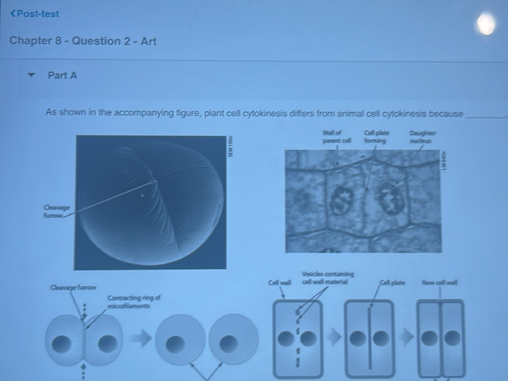 Part A As shown in the accompanying figure, | StudyX