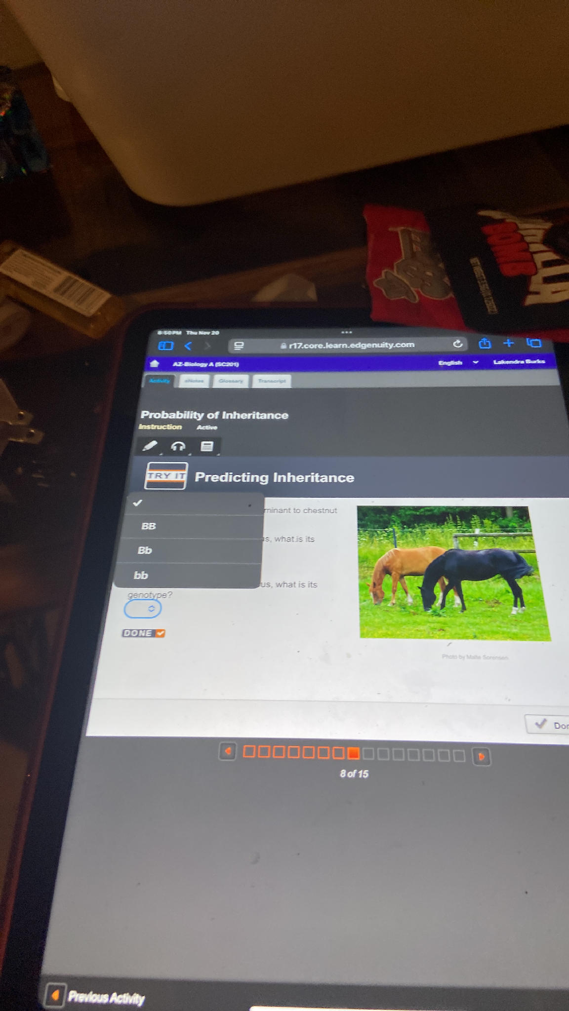 Probability of Inheritance: Predicting | StudyX