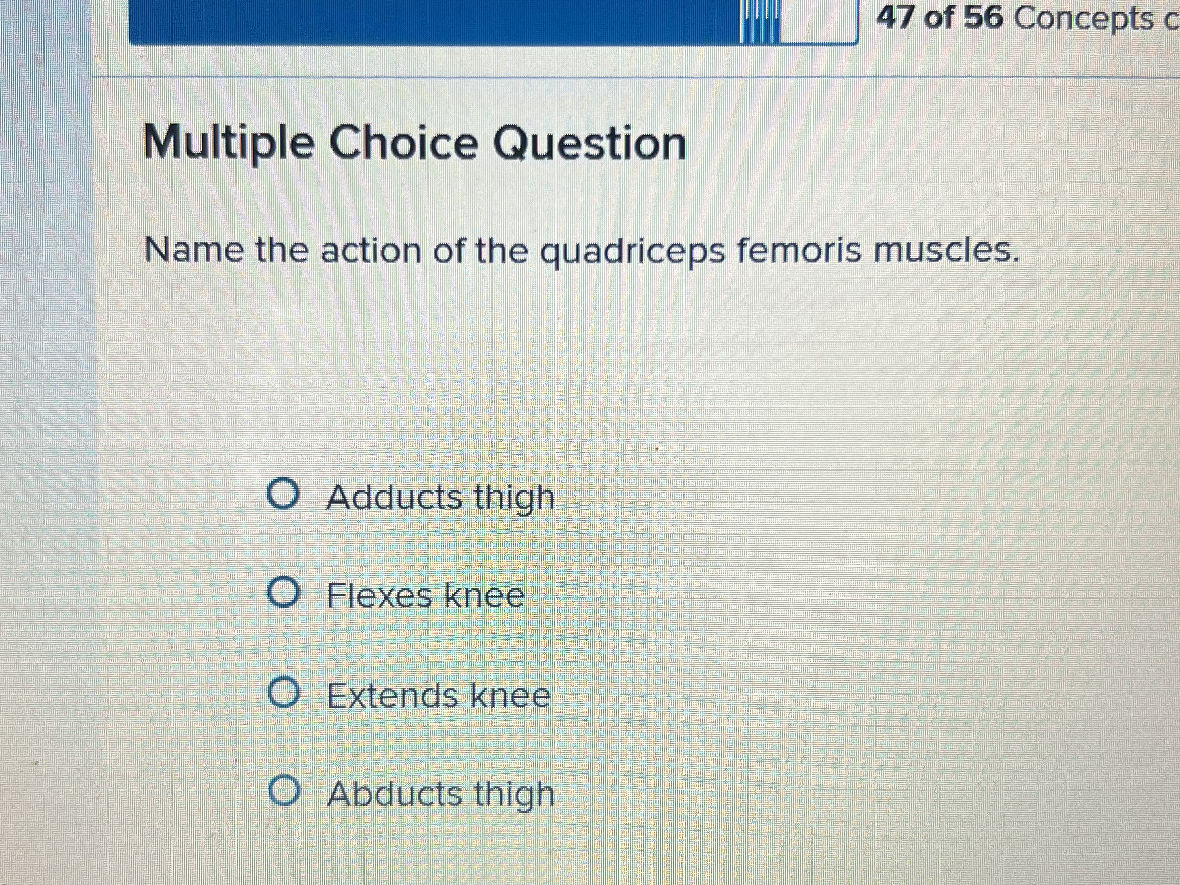 Name the action of the quadriceps femoris | StudyX