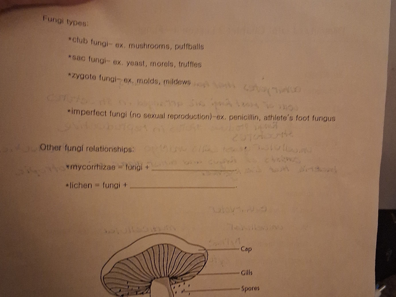 Fungi types: *club fungi- ex. mushrooms, | StudyX