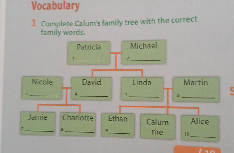 Vocabulary 1 Complete Calum's family tree | StudyX