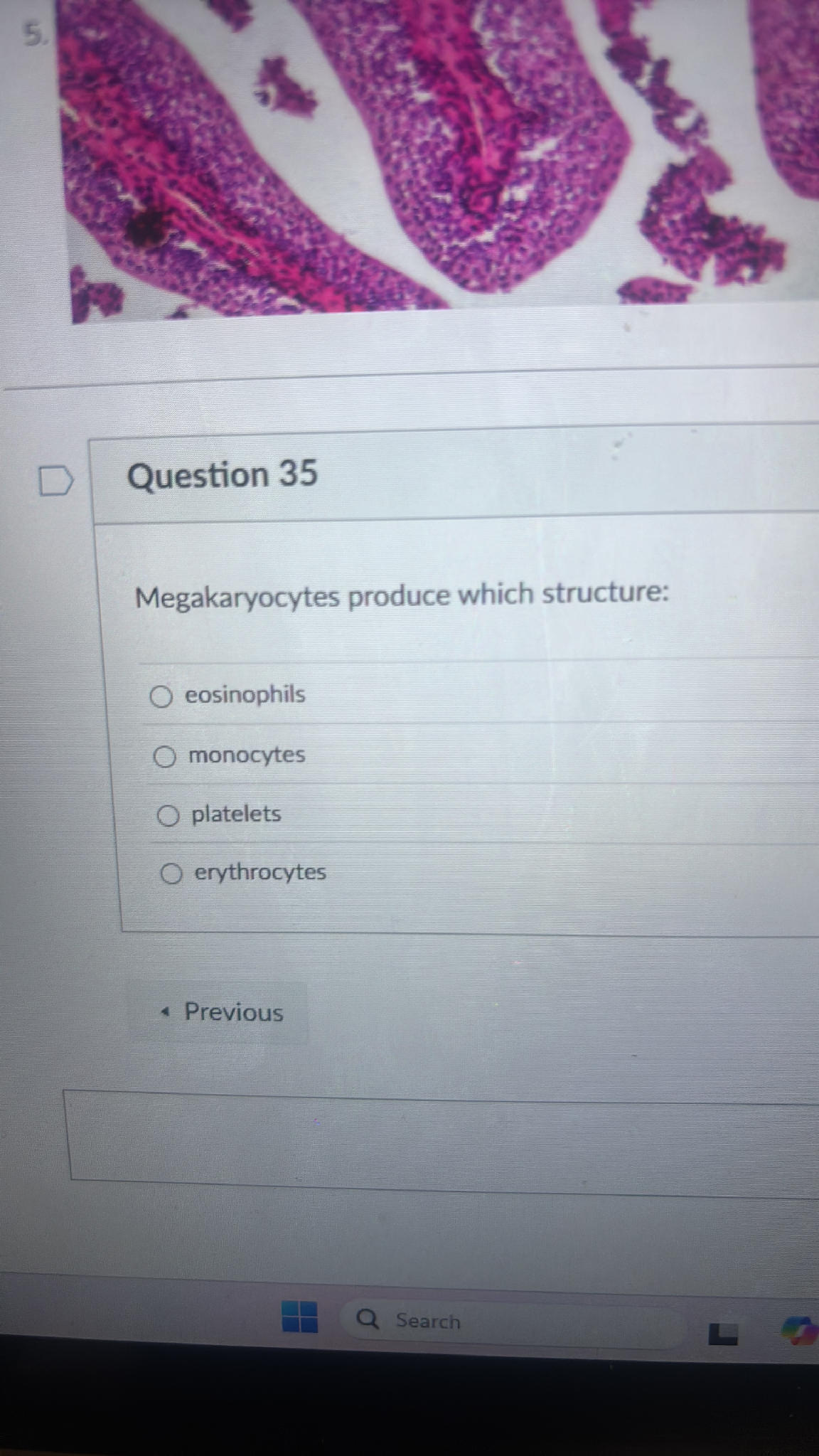 Megakaryocytes produce which structure: | StudyX