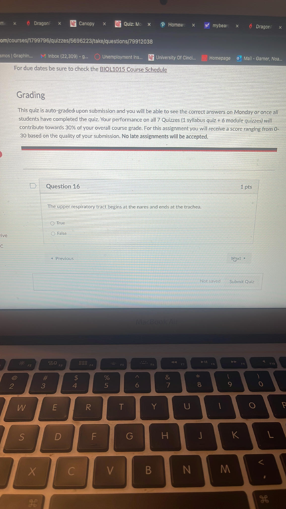 Question 16 The upper respiratory tract | StudyX