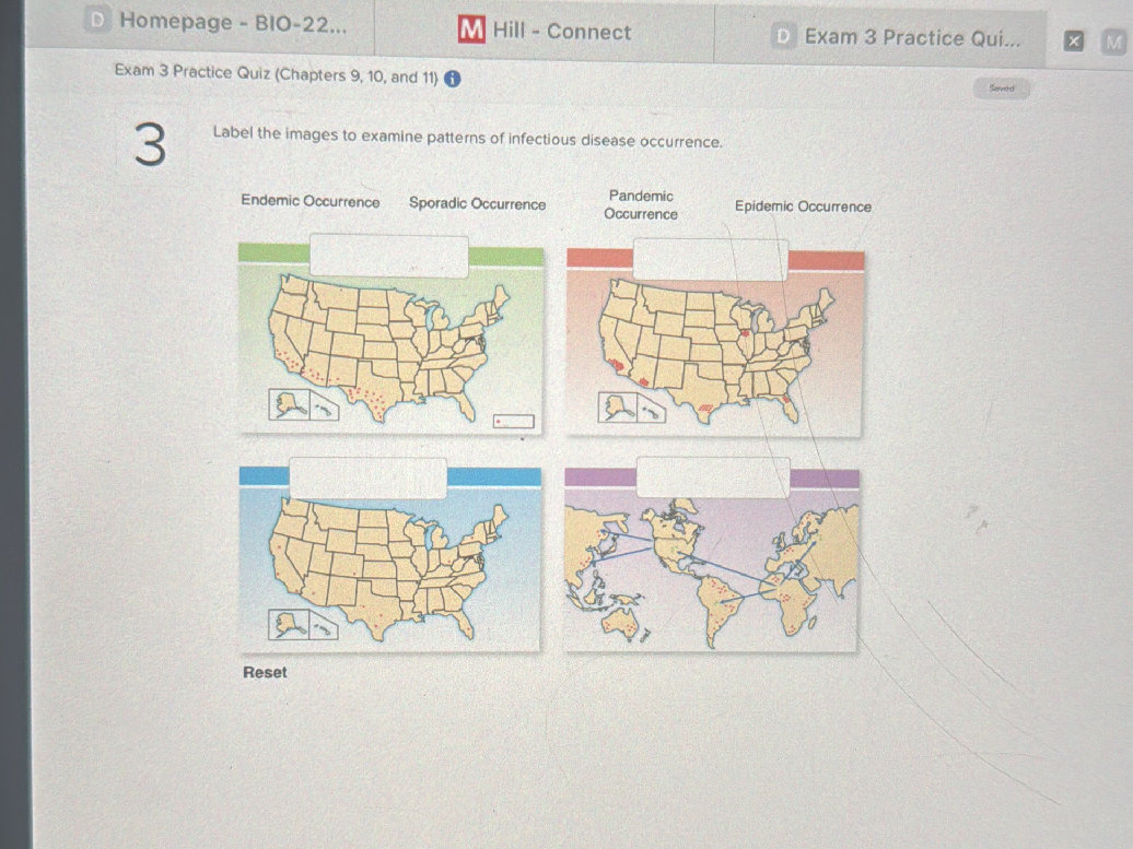 Label the images to examine patterns of | StudyX