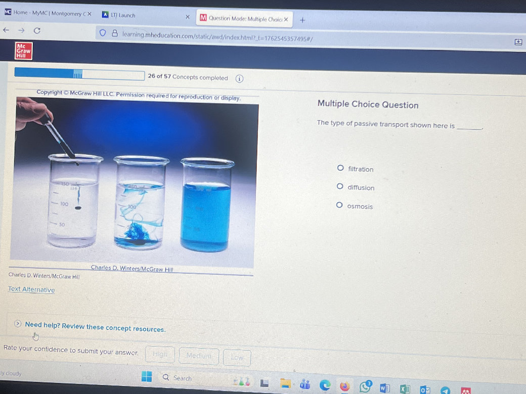 The type of passive transport shown here is | StudyX