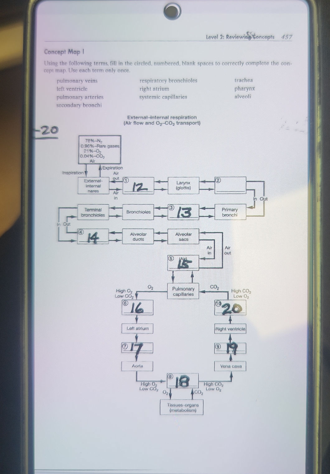 Concept Map I Using the following terms, | StudyX