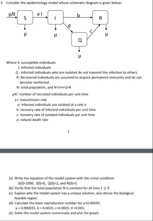 3. Consider the epidemiology model whose | StudyX