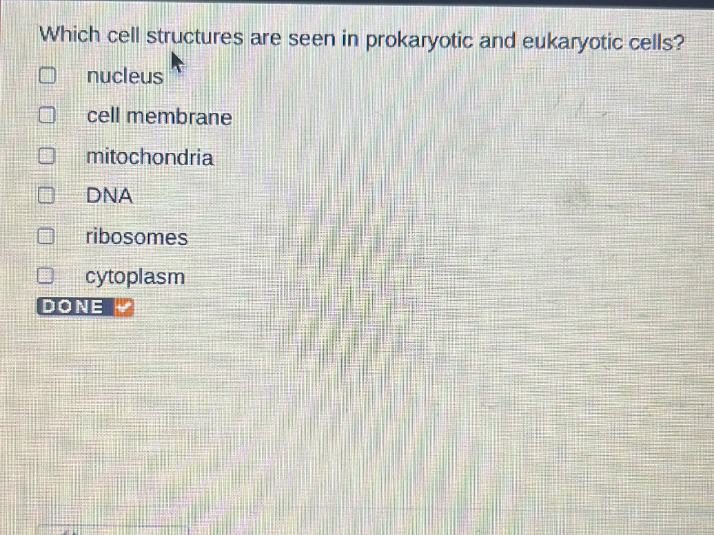 Which cell structures are seen in | StudyX