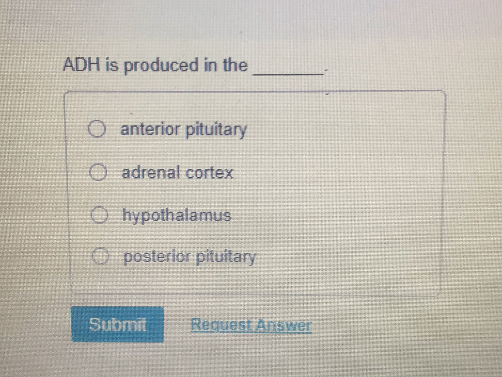 ADH is produced in the ______ anterior | StudyX
