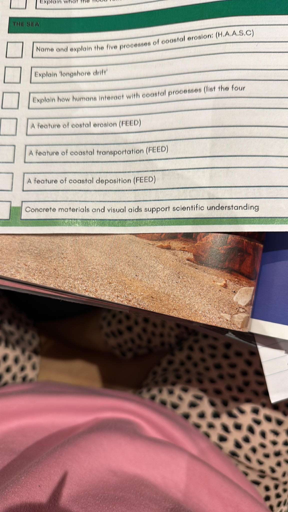 Name and explain the five processes of | StudyX