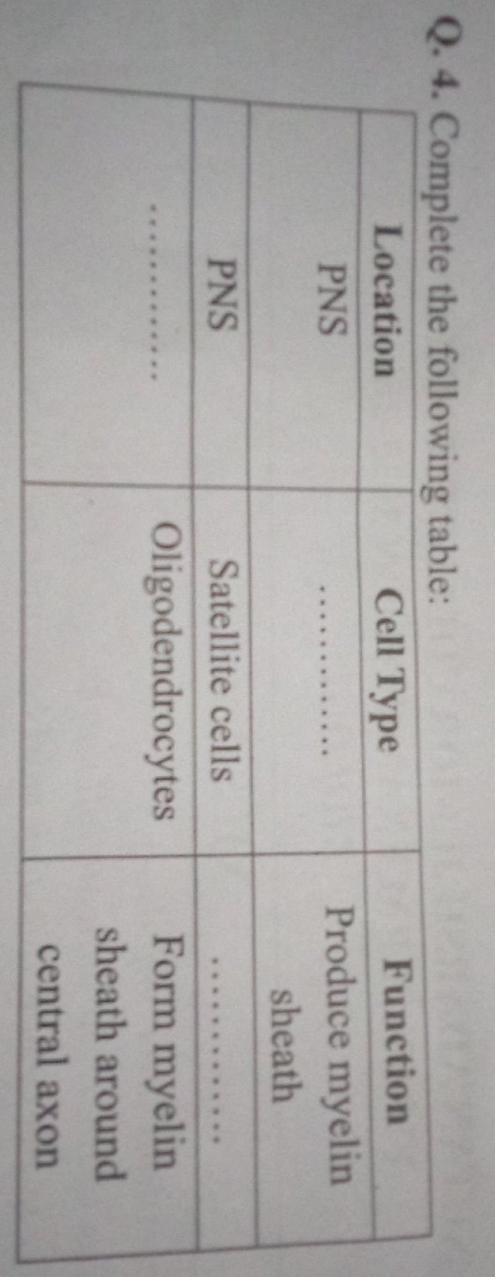 Q. 4. Complete the following table: | | StudyX