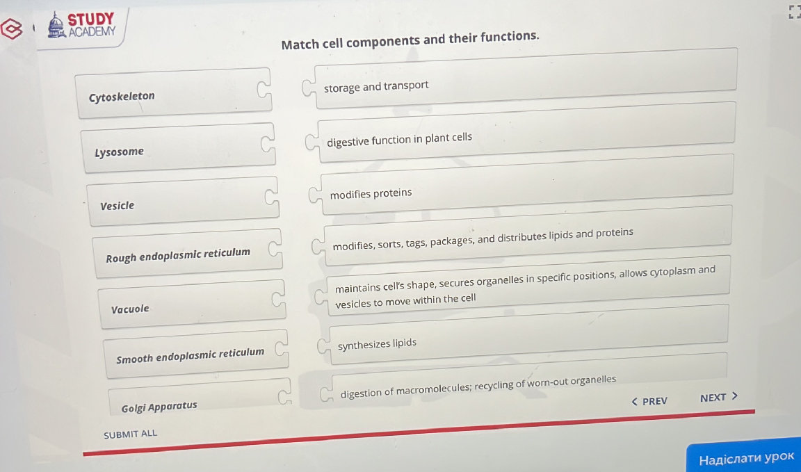 Match cell components and their functions. | StudyX