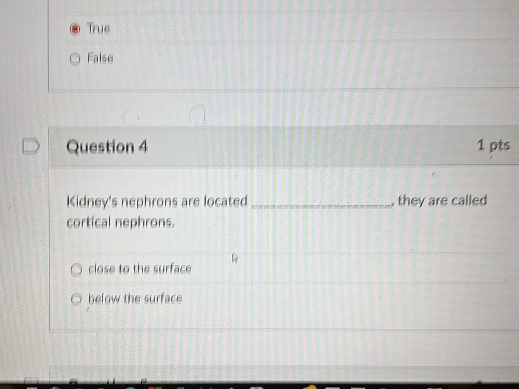 Question 4 Kidney's nephrons are located | StudyX