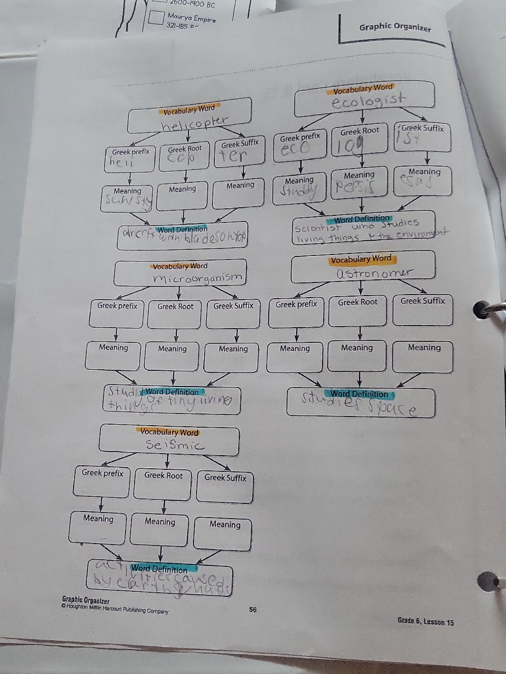 Complete the graphic organizer by breaking | StudyX