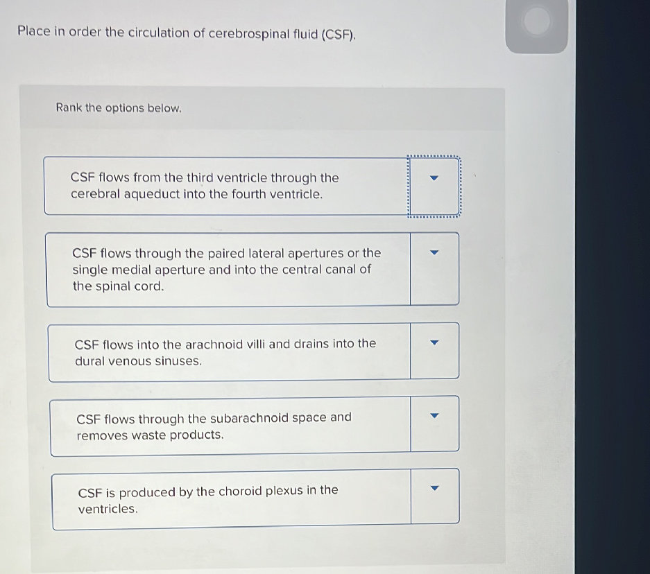Place in order the circulation of | StudyX