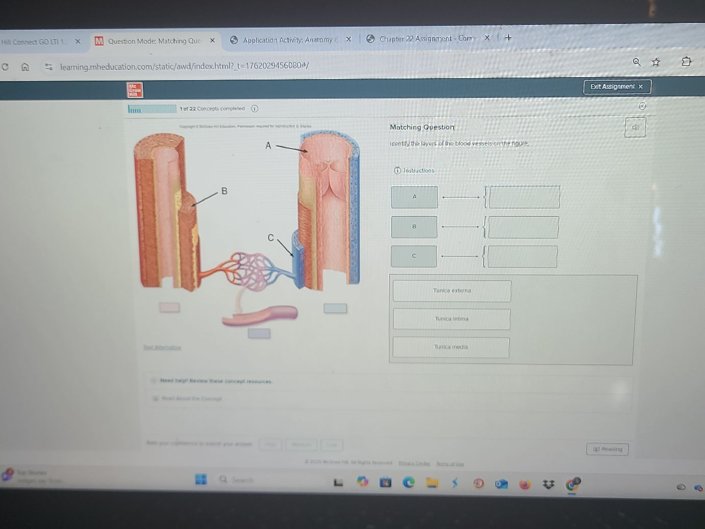 Matching Question Identify the layers of | StudyX