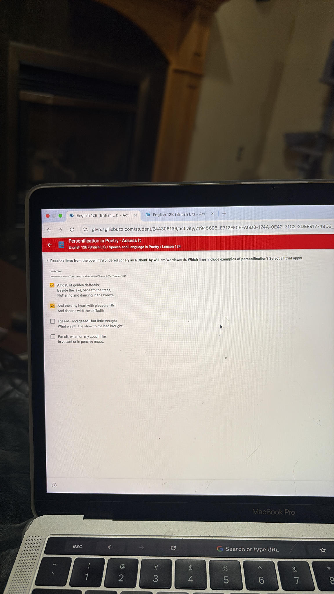 Read the lines from the poem "I Wondered | StudyX