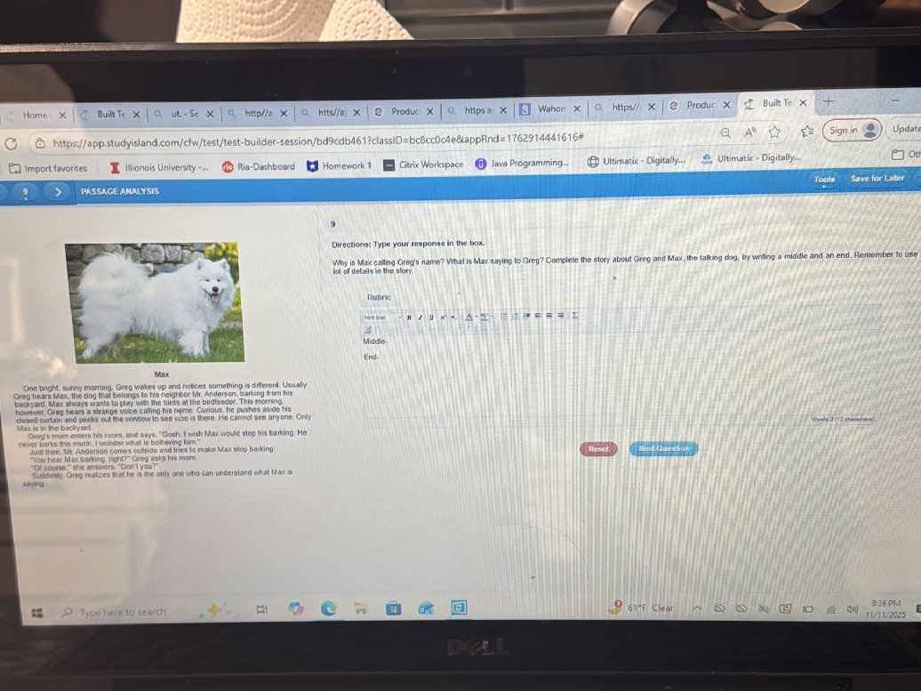 Directions: Type your response in the box. | StudyX