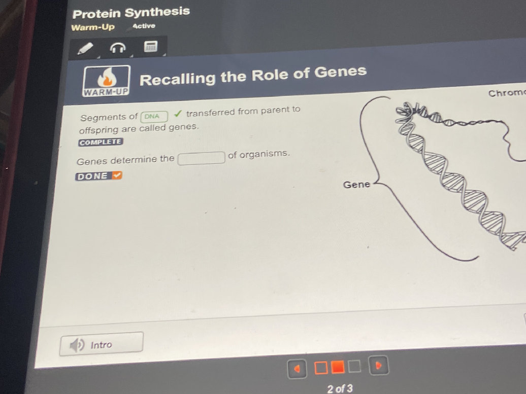 Recalling the Role of Genes Segments of DNA | StudyX