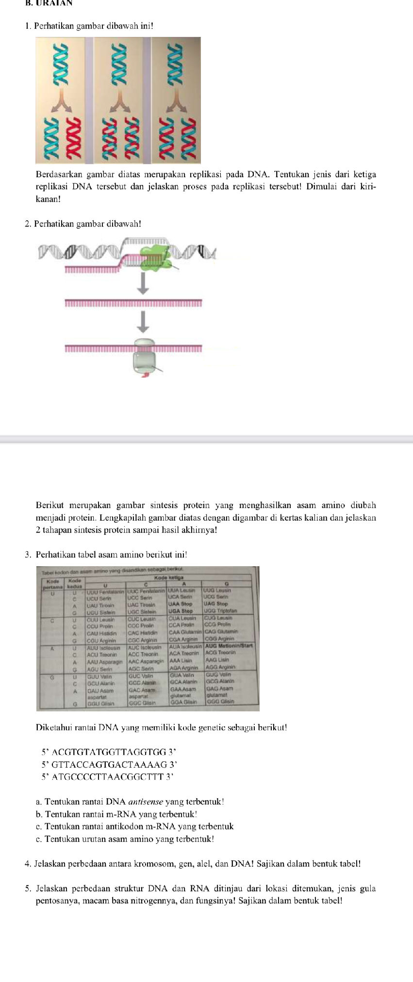 3. Perhatikan tabel asam amino berikut ini! | StudyX