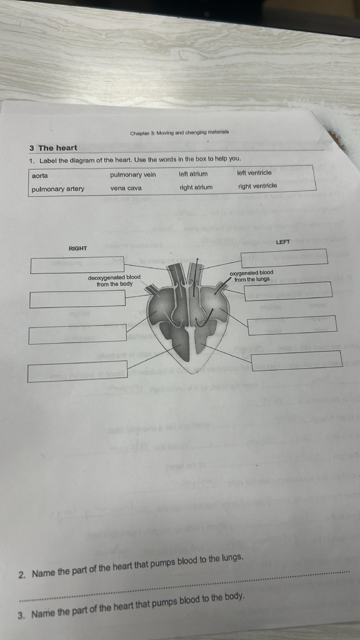 3 The heart 1. Label the diagram of the | StudyX