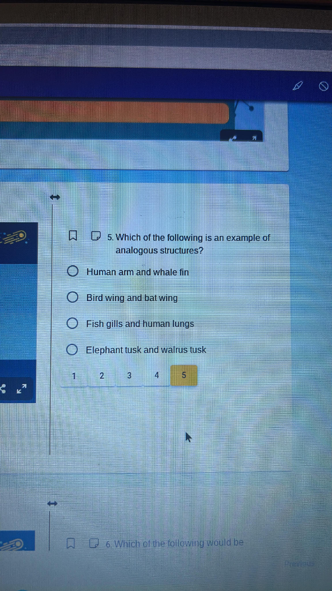 Which of the following is an example of | StudyX