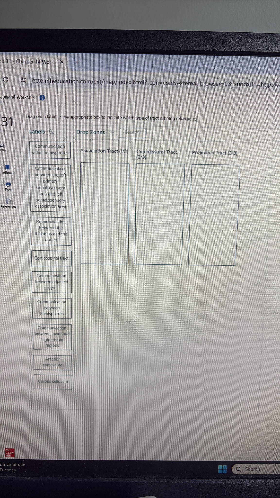 Drag each label to the appropriate box to | StudyX
